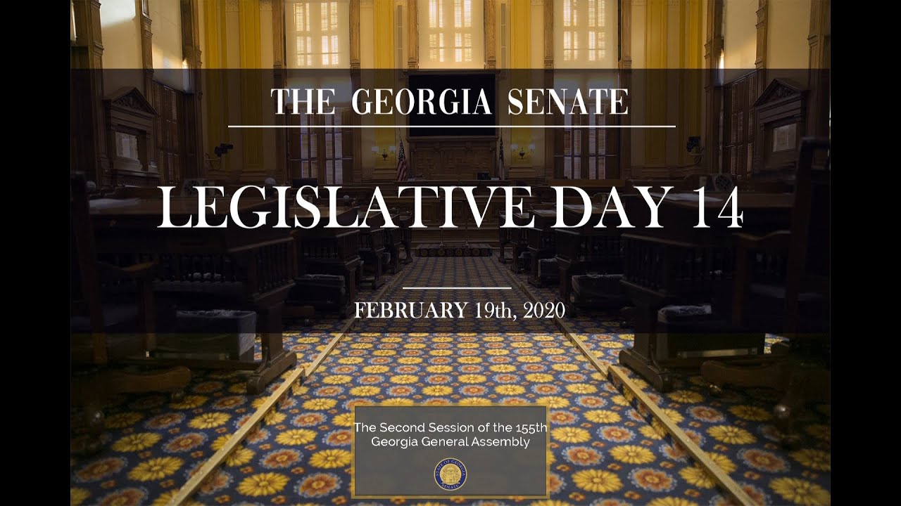 Georgia Senate 2020 Day 14 - YouTube