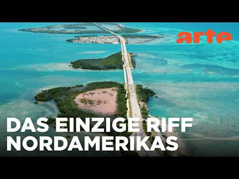 Unterwegs in Floridas tropischem Süden | Unbekanntes Florida Reupload | ARTE Fernweh