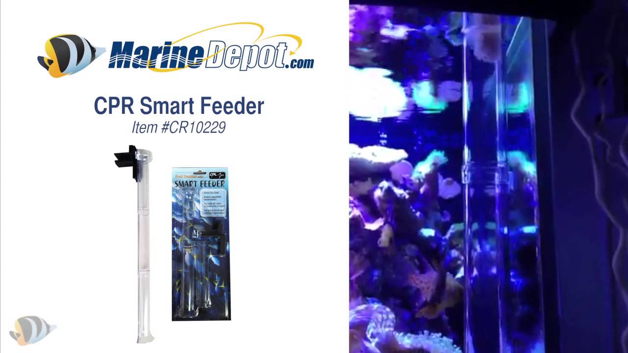 CPR Smart Feeder - Product Overview - YouTube