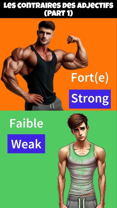 Useful French Adjectives and Their Opposites (PART 1) - Les Contraires ...