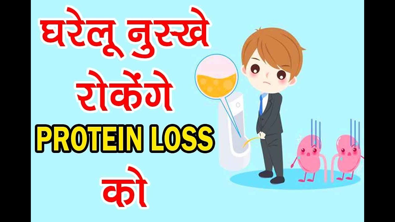 How to stop protein loss – Proteinuria – Home Remedies For Protein ...