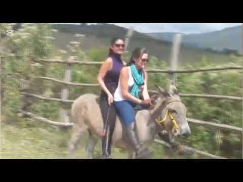 Tow Girl Donkey Riding 😱 || Horse 🐎 Riding || Pony Riding 