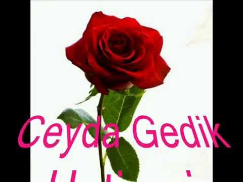 Seni Sevdim Diye Dusman Oldular