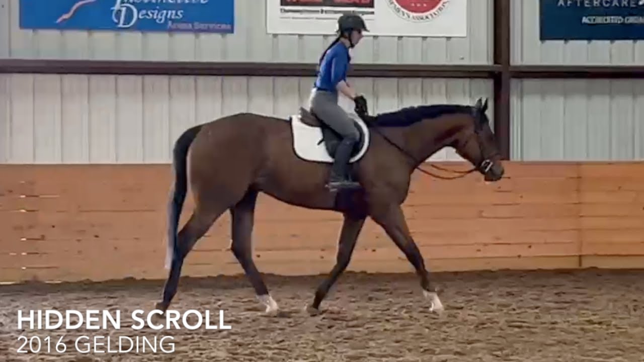 Hidden Scroll - WTC - YouTube