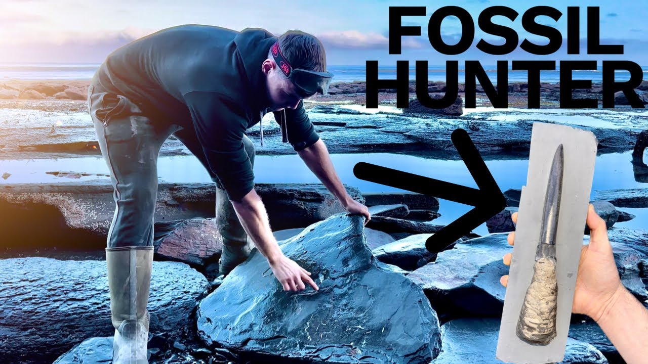 Huge SQUID FOSSIL! Hunting For Jurassic Coastal Squid! | Fossil Hunter ...