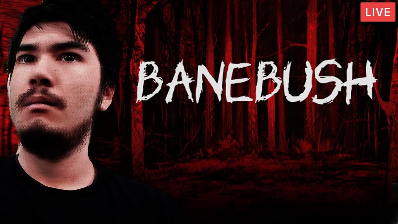 🔴PHIL GOES IN BANEBUSH WOODS ! RUSSIAN HORROR VISUAL NOVEL GAME ? 🔴 ...