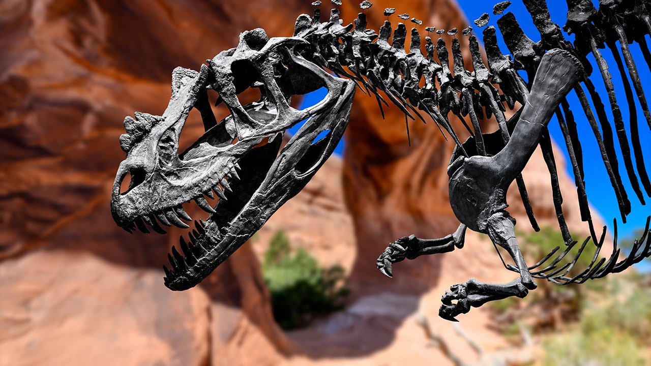 Dinosaur at Pine Tree Arch in Arches NP - YouTube