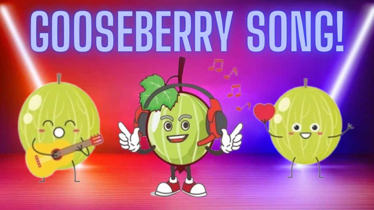 Gooseberry Fruit Song! (REALLY STRANGE FRUIT SONG ABOUT GOOSEBERRIES ...