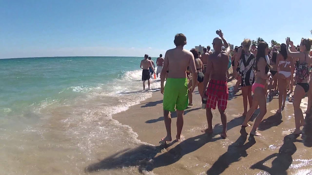 SHARK SPRING BREAK 2013 - YouTube