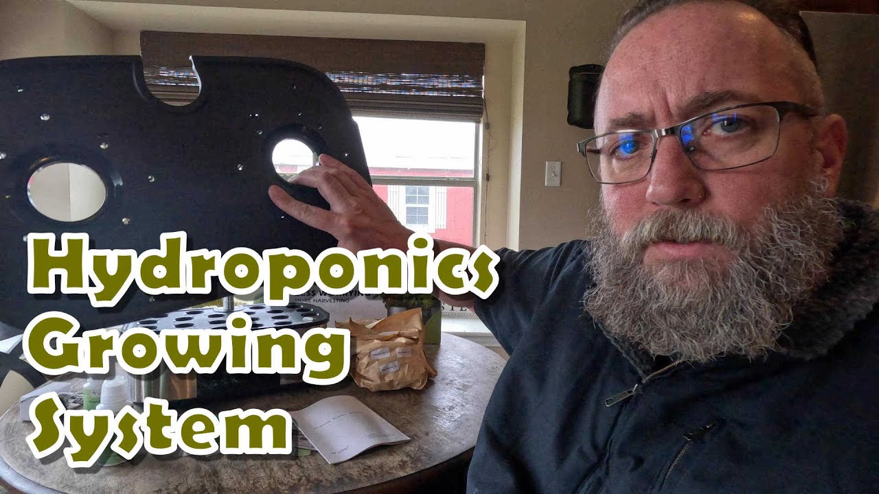 LetPot Indoor Hydroponics Growing System | Urban Prepping - YouTube