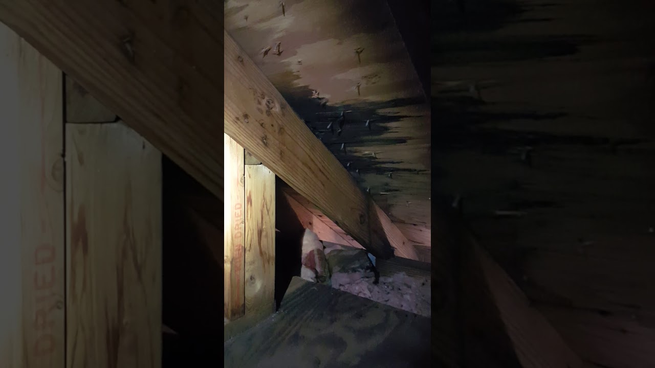 Attic Wood Rot - YouTube