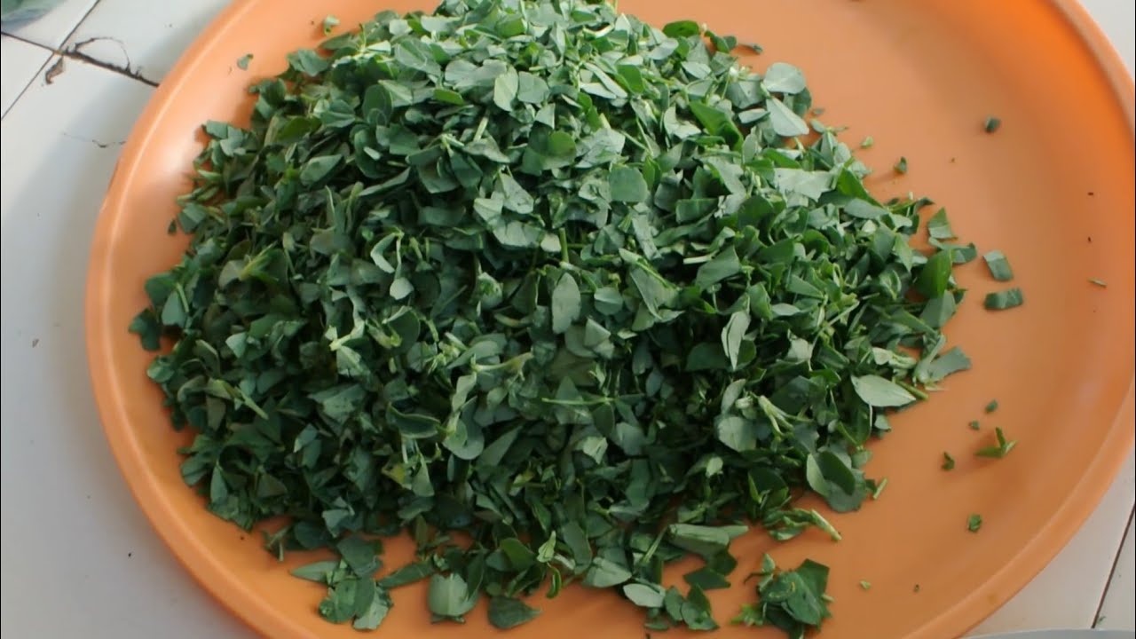 Korde ajji Methi Bhaji/मेथी भाजी (Fenugreek Vegetable) homemade recipe ...