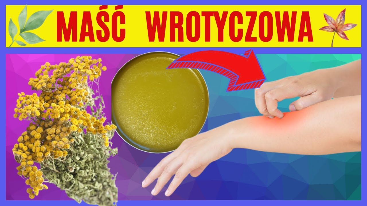 MAŚĆ Z WROTYCZU - ANTYBAKTERYJNA / PRZECIWZAPALNA - Jak zrobić? / na ...