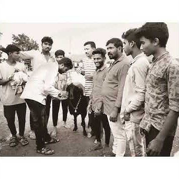 🔥Sailent killar HonnaLi 🚩 HonnaLi kings 🔥😍 - YouTube