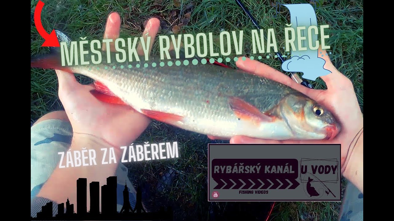 NEUVĚŘITELNÝ MĚSTSKÝ RYBOLOV.Jen olůvko ,háček a rohlík a jedna ryba za ...