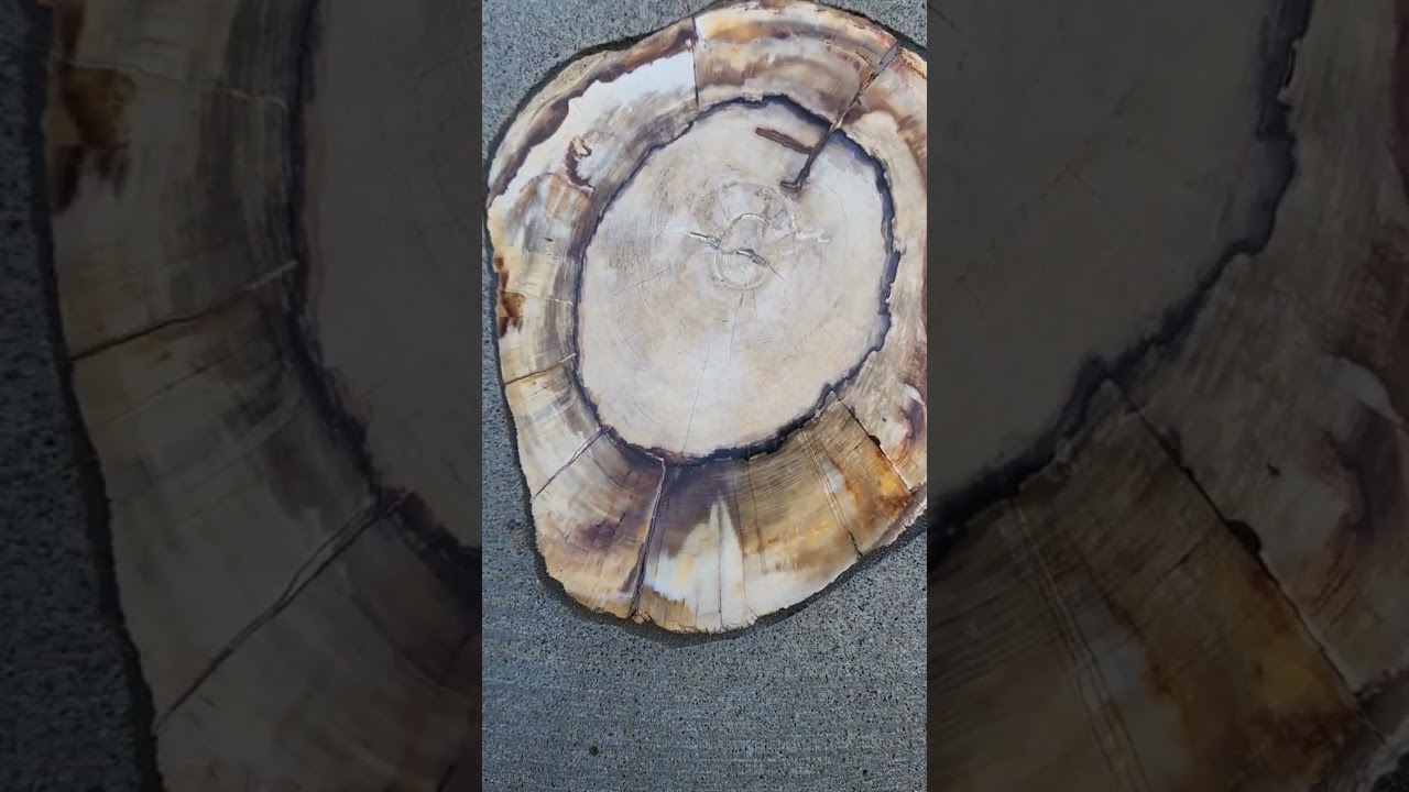 Concrete sequential learner part1 - YouTube