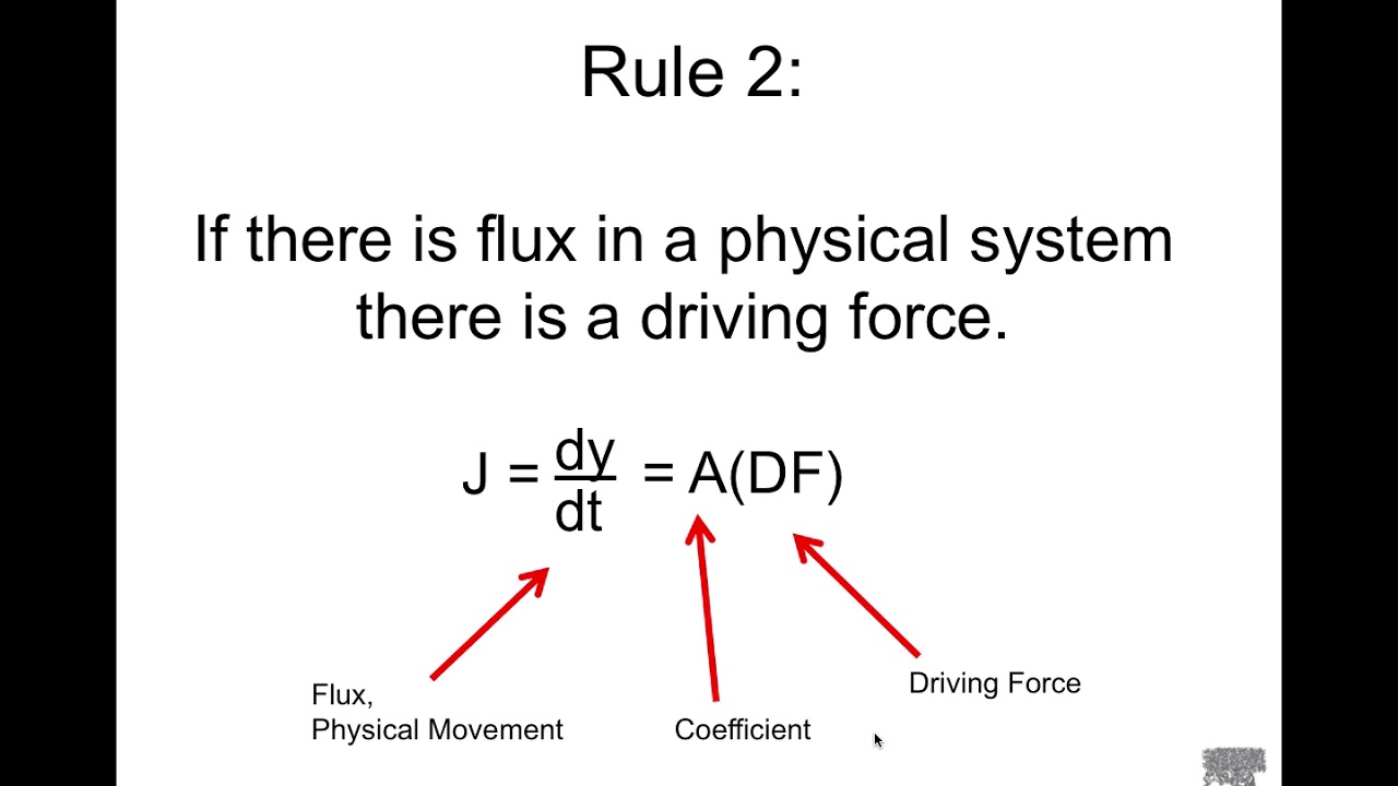 Biochemical Engineering Fundamentals - Lecture 1 - YouTube