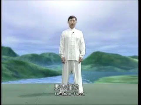 Yang style Tai Chi Push Hand Tui Shou - YouTube