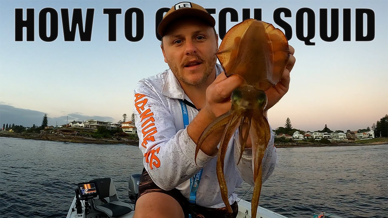 Mastering The Art Of Squid-fishing: Boost Your Catch With These Tips ...