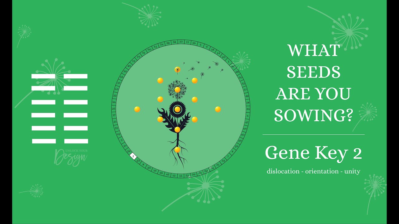 Archetype 2: The Feminine (Gene Key 2) - YouTube