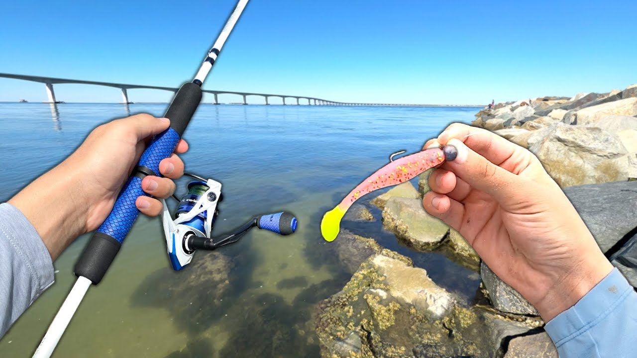 Fishing the JETTY and BEACH! (Catch and Cook) First Time Eating This ...