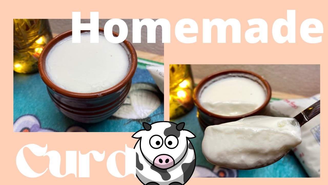 Homemade curd in 5 hrs| how to make curd at home| how to turn milk into ...