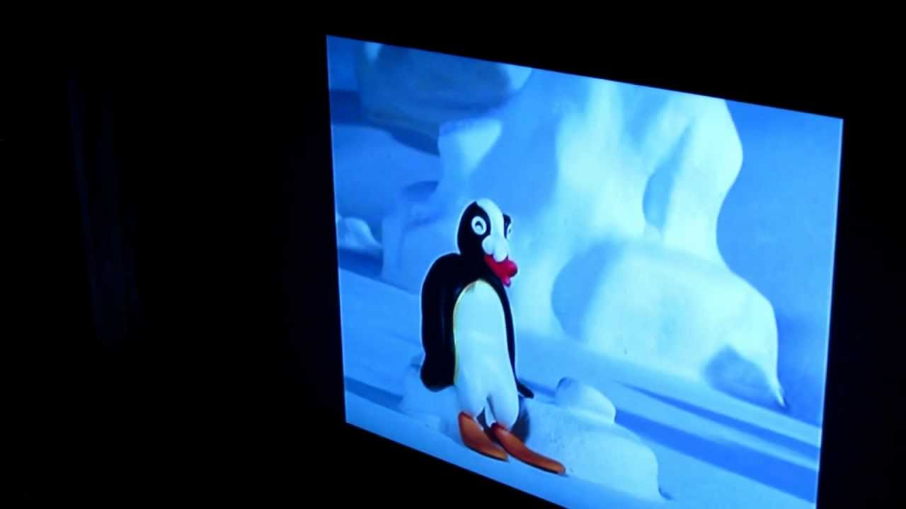 Kichu Laughing crazy watching PINGU - YouTube