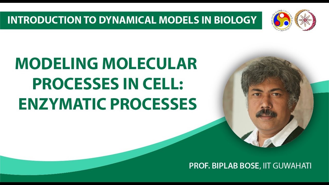 Modeling Molecular Processes in Cell:Enzymatic Processes - YouTube