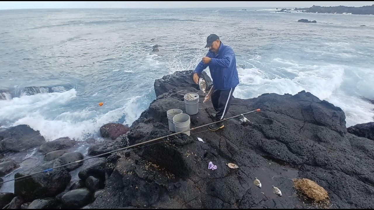Sargo fishing / Pesca sargos ilha Terceira / Diplodus sargus - YouTube