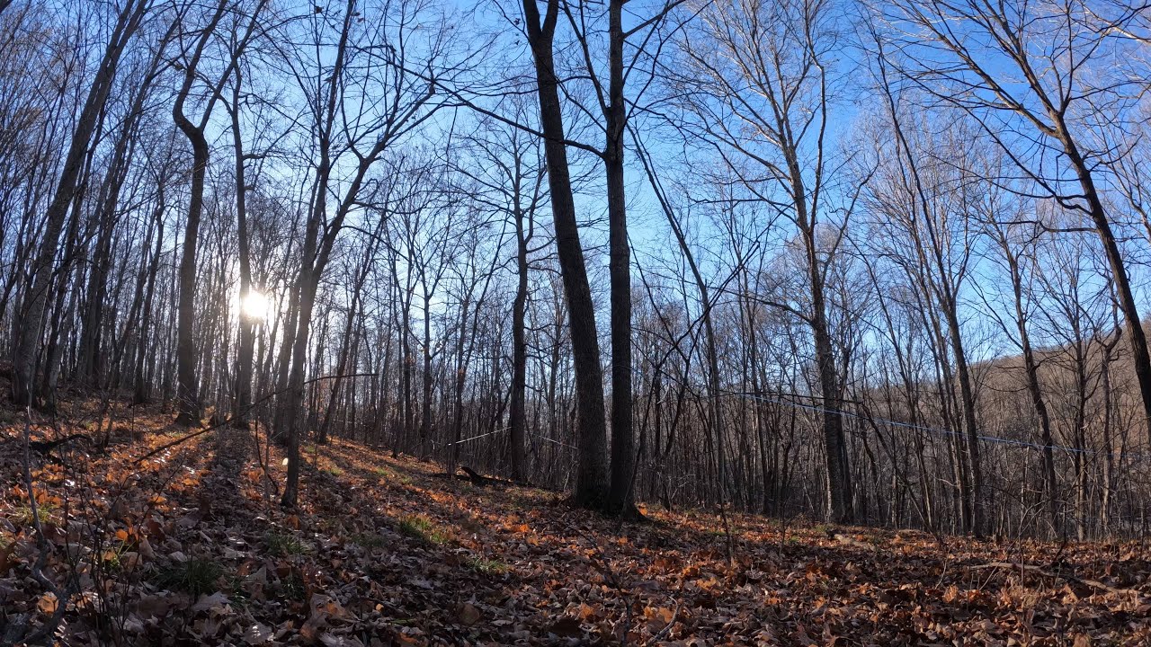 2023 Deer Hunting Sunrise and Sunset Compilation - YouTube