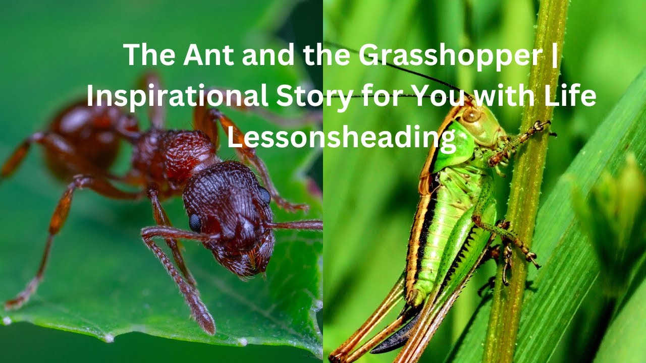 The Ant and the Grasshopper | Inspirational Story for You with Life ...