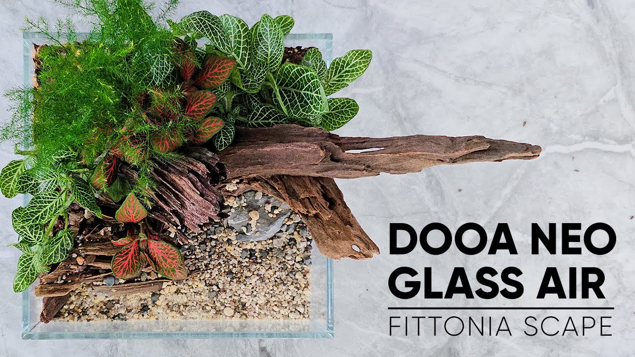 How to make a DOOA Neo Glass Air Tutorial - YouTube