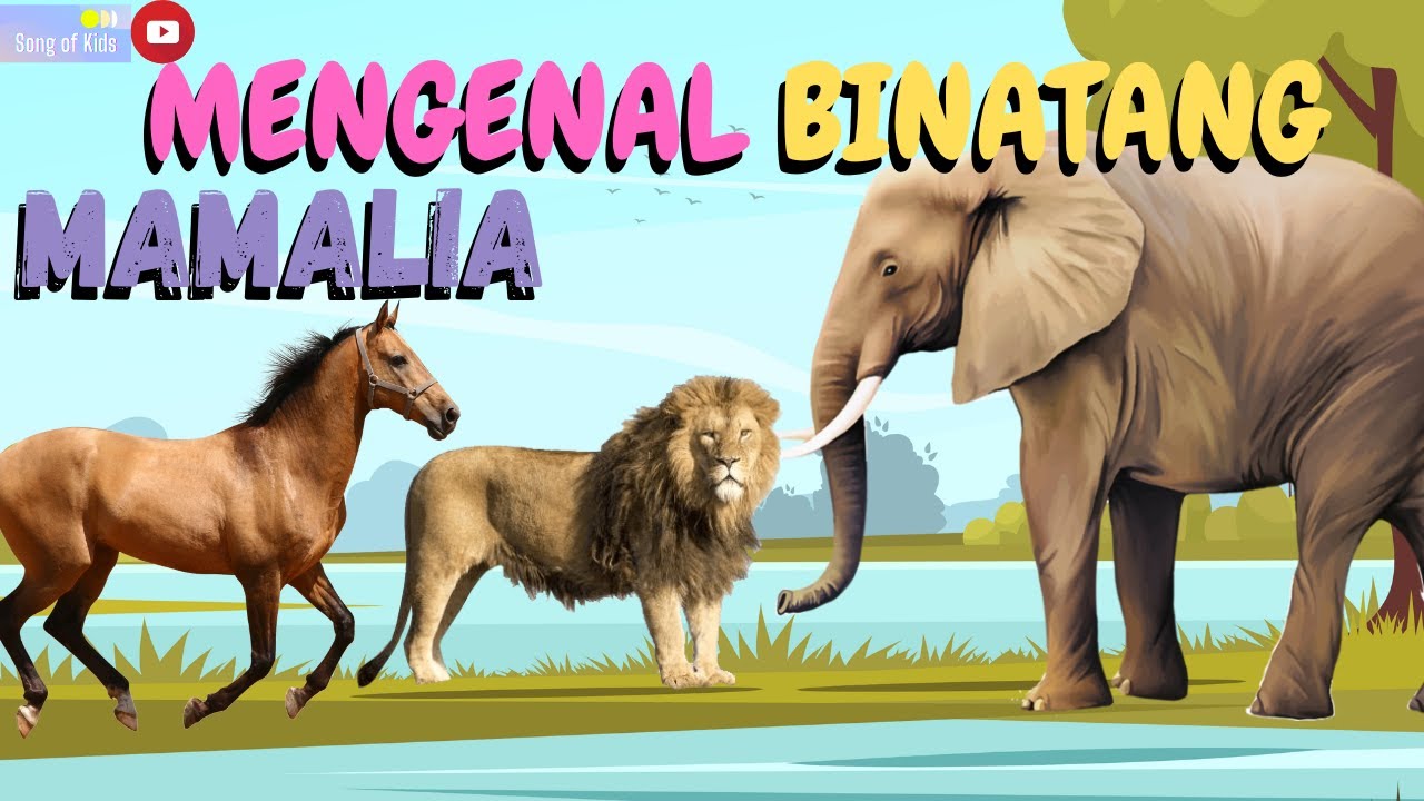 Belajar Mengenal Nama Binatang Mamalia Dalam Bahasa Indonesia - Song of ...
