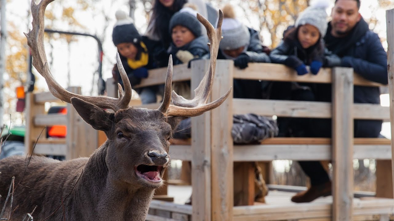 Explore outdoors this fall in Winnipeg - YouTube
