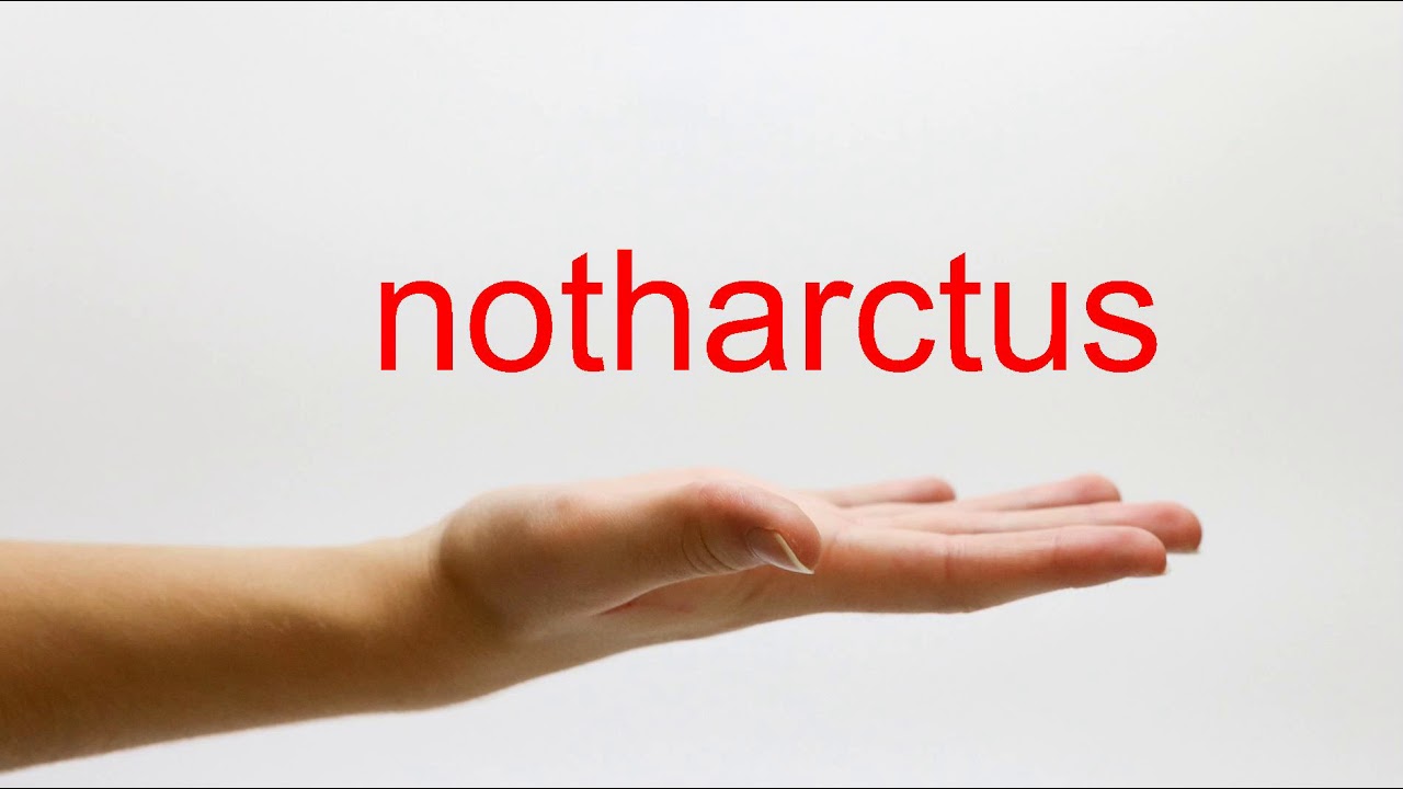 How to Pronounce notharctus - American English - YouTube