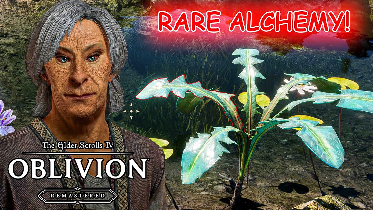 Oblivion’s Most Mysterious Plant – The Secret of Nirnroot - YouTube