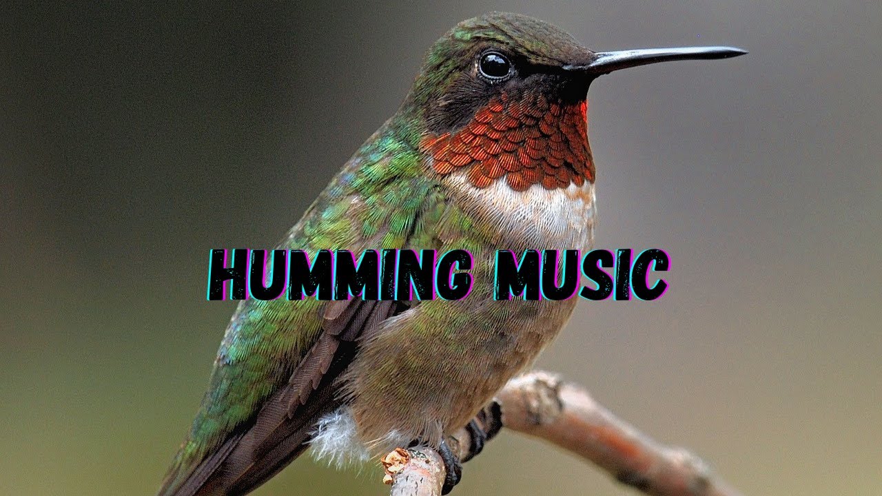 Humming music, Calm music, Relaxing music, Soothing music - YouTube