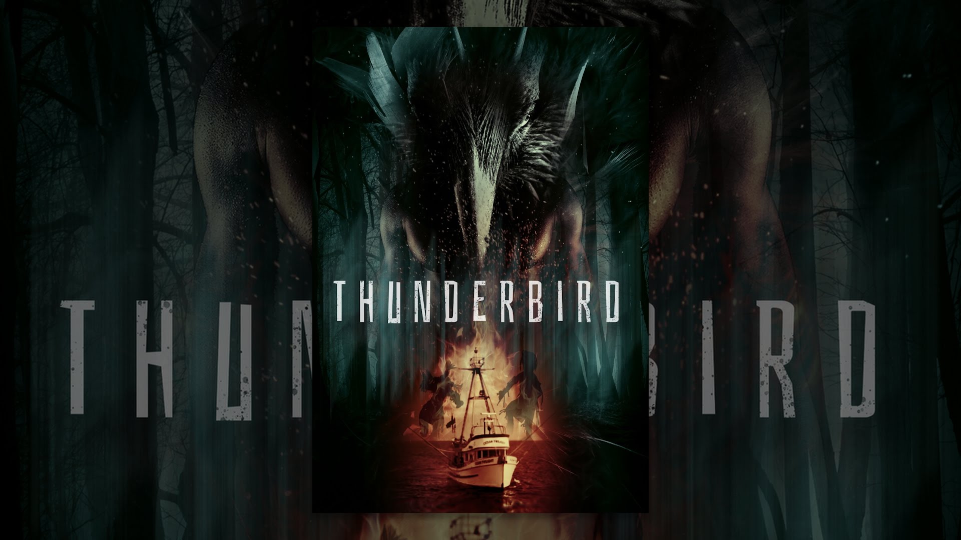 Thunderbird - YouTube