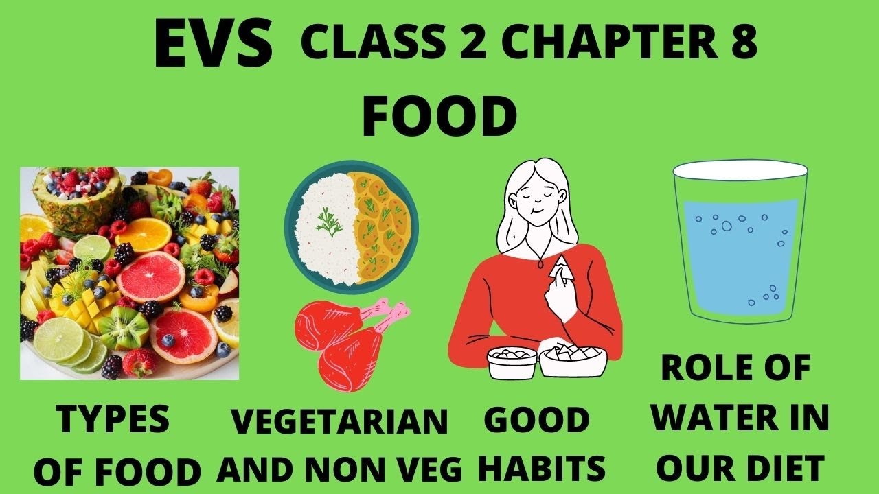 EVS || CLASS 2 || CHAPTER 8 || FOOD || {PART 1} - YouTube