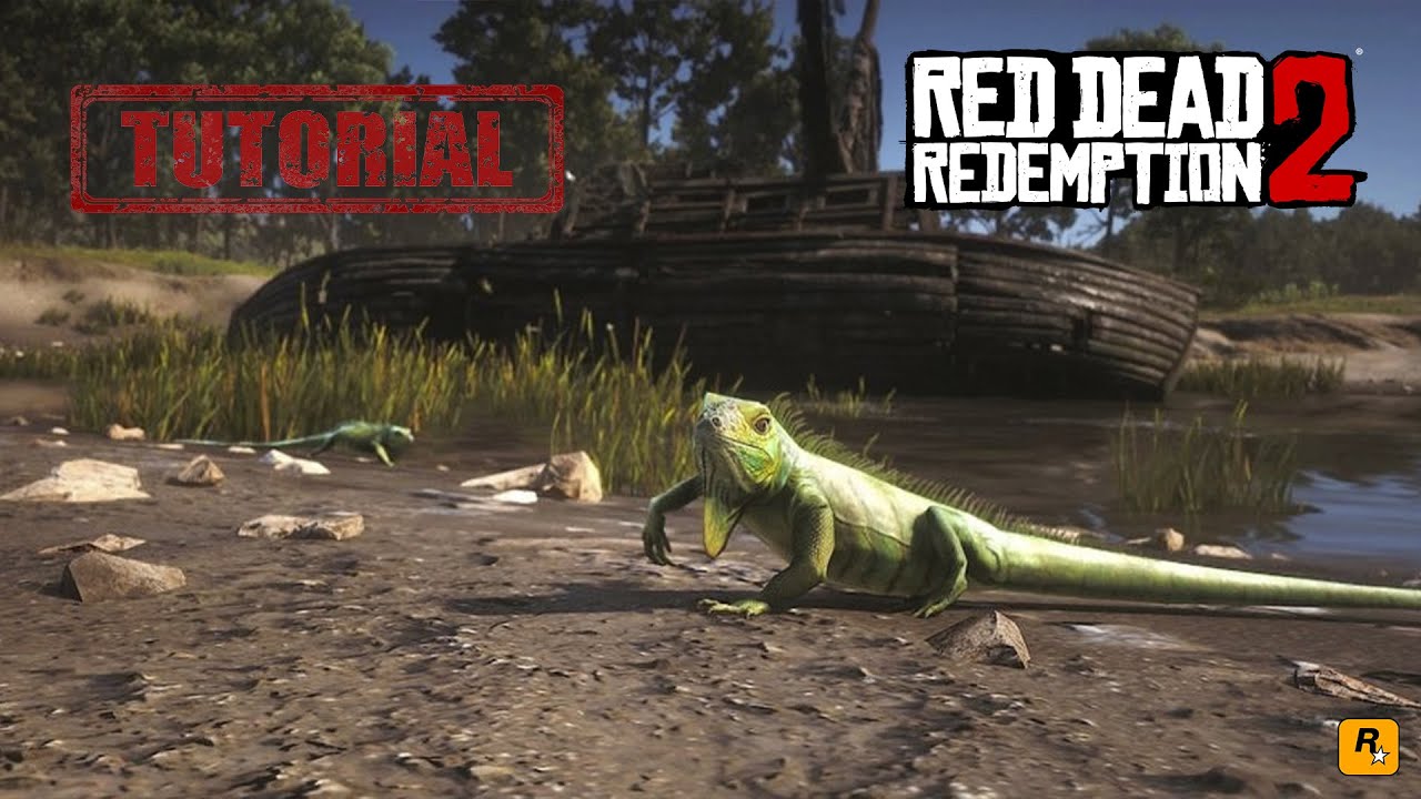 Donde cazar IGUANA PERFECTO ESTADO LOCALIZACIÓN EN RED DEAD REDEMPTION ...