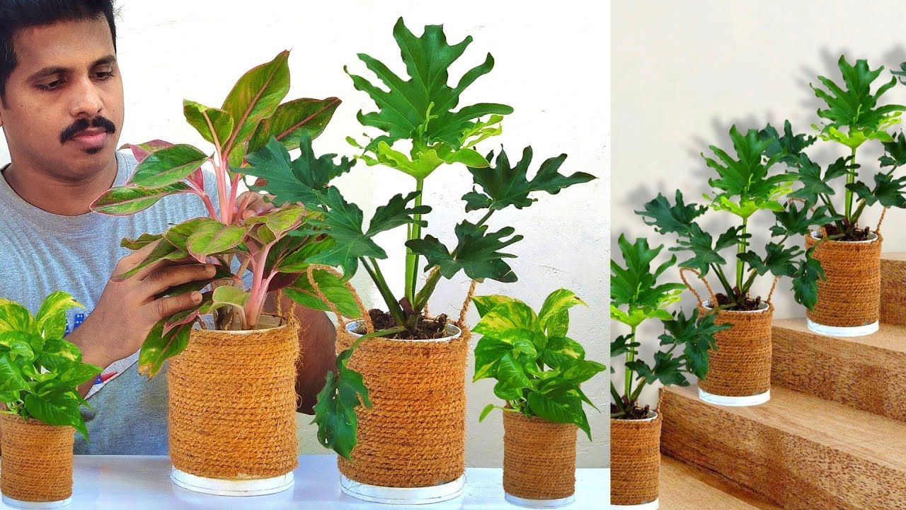 Recycling Plastic Bottles into Amazing Indoor Plant Pot Making ...