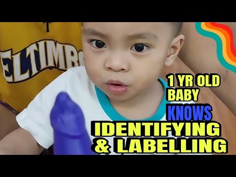SMART BABY 1 YR OLD - Receptive Language (Labeling and Identifying ...