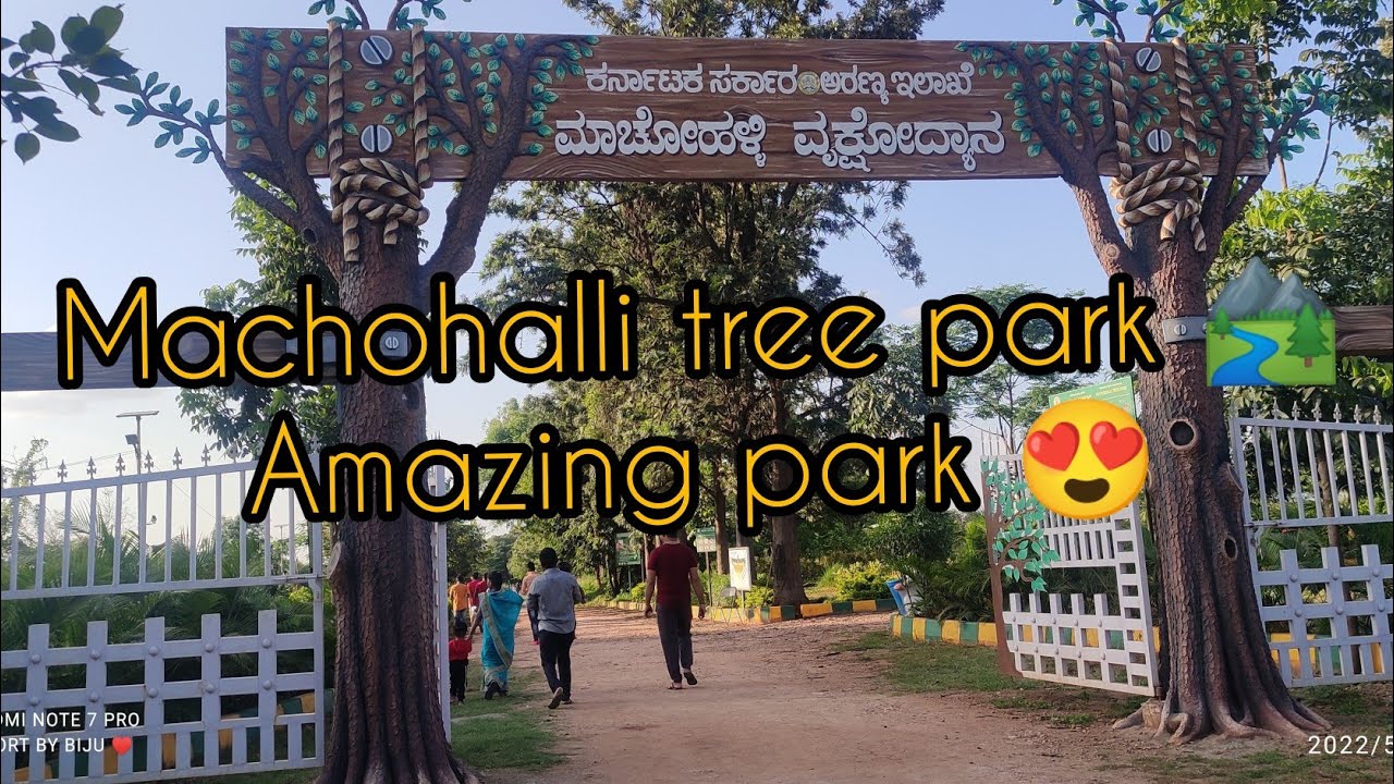 Machohalli tree park 🏞️ vlog😍😍|| absolutely amazing park 😲😍|| - YouTube