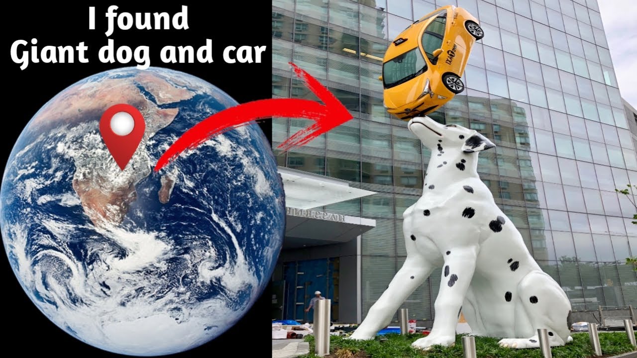 Giant dog and car 🐕🚗🤯 on google maps and google earth 🌎 #map #earth # ...