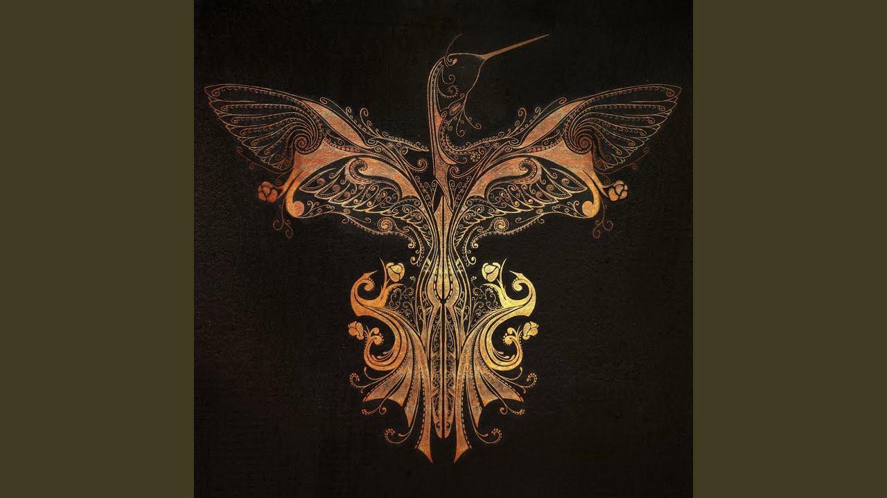 Human (Hummingbird Version) - YouTube