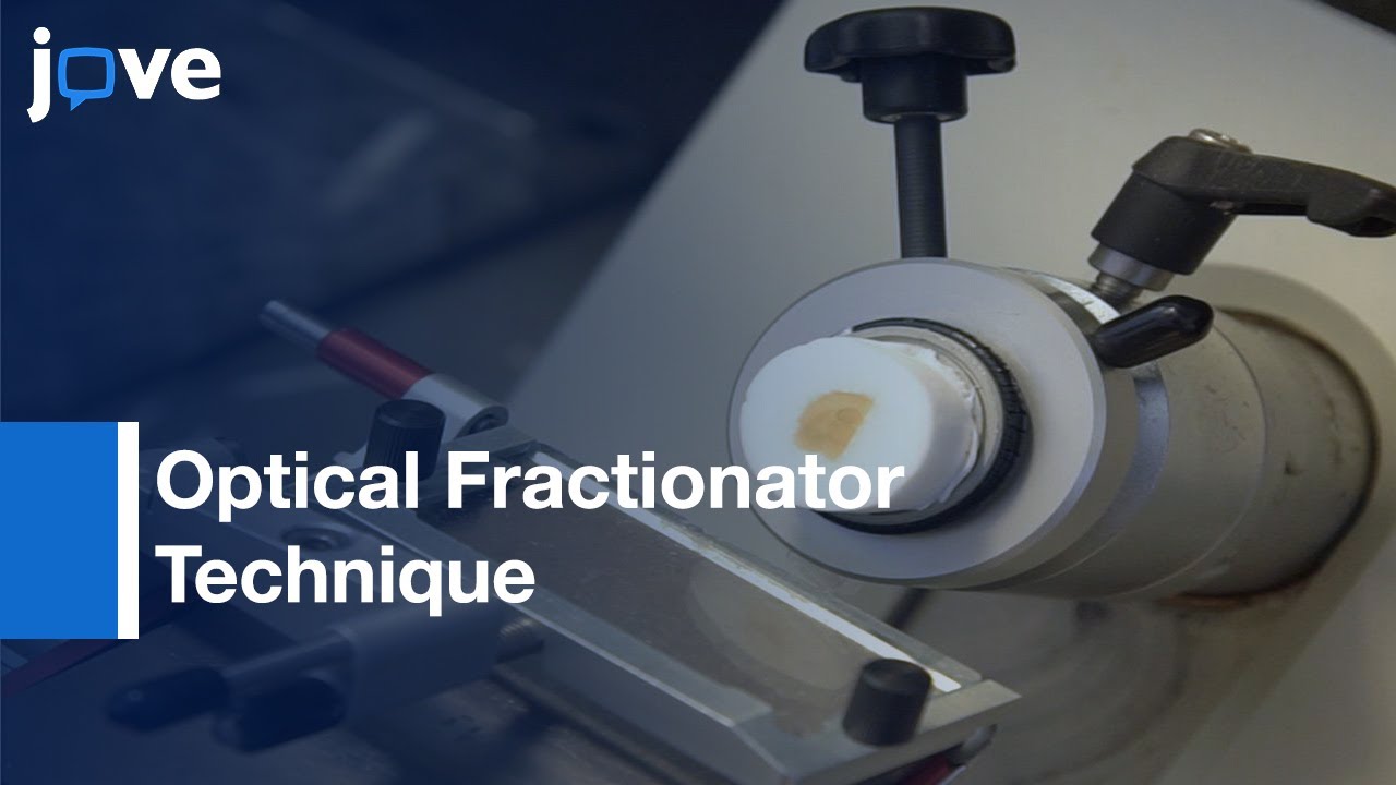 Optical Fractionator Technique to Estimate Cell Numbers | Protocol ...