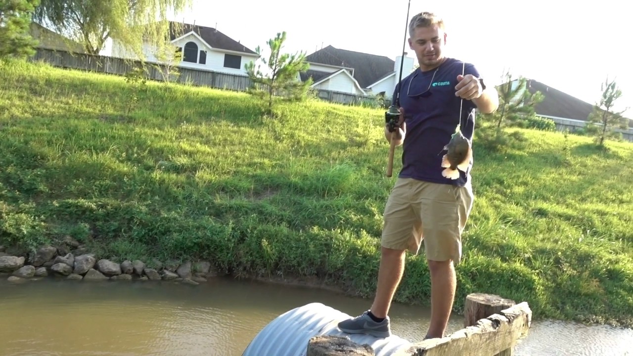 Ditch Fishing - YouTube