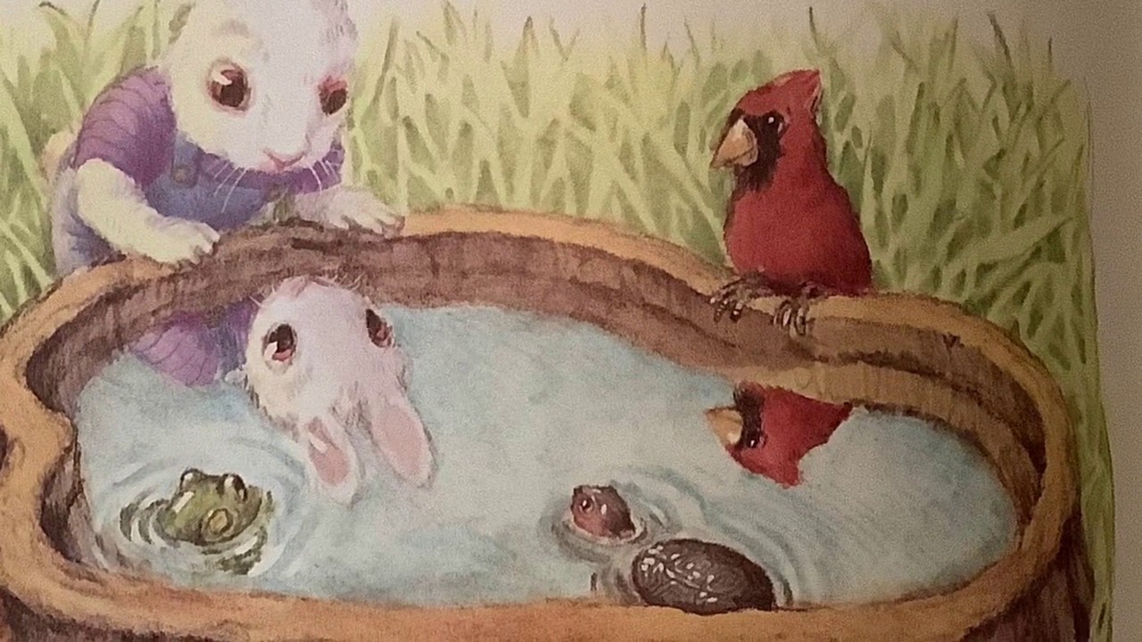 The Little Rabbit Who Wanted Red Wings Read Aloud with Mrs. Thomas ...