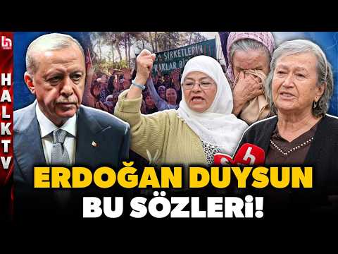 GÖZYAŞLARININ TUTULAMADIĞI AN! Akbelen'de yaşlı kadının sözleri vicdan sızlatır! Sözün bittiği yer!