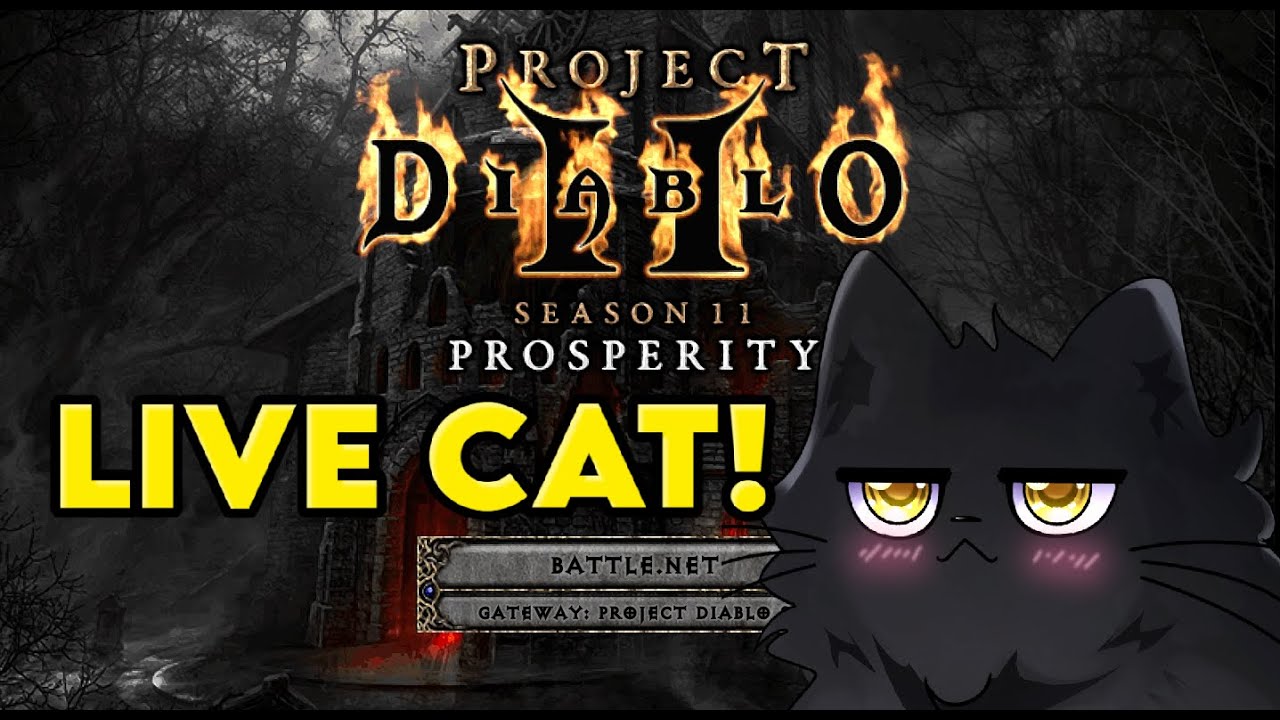 PROJECT DIABLO 2 Season 11 BETA - CAT TESTING - YouTube